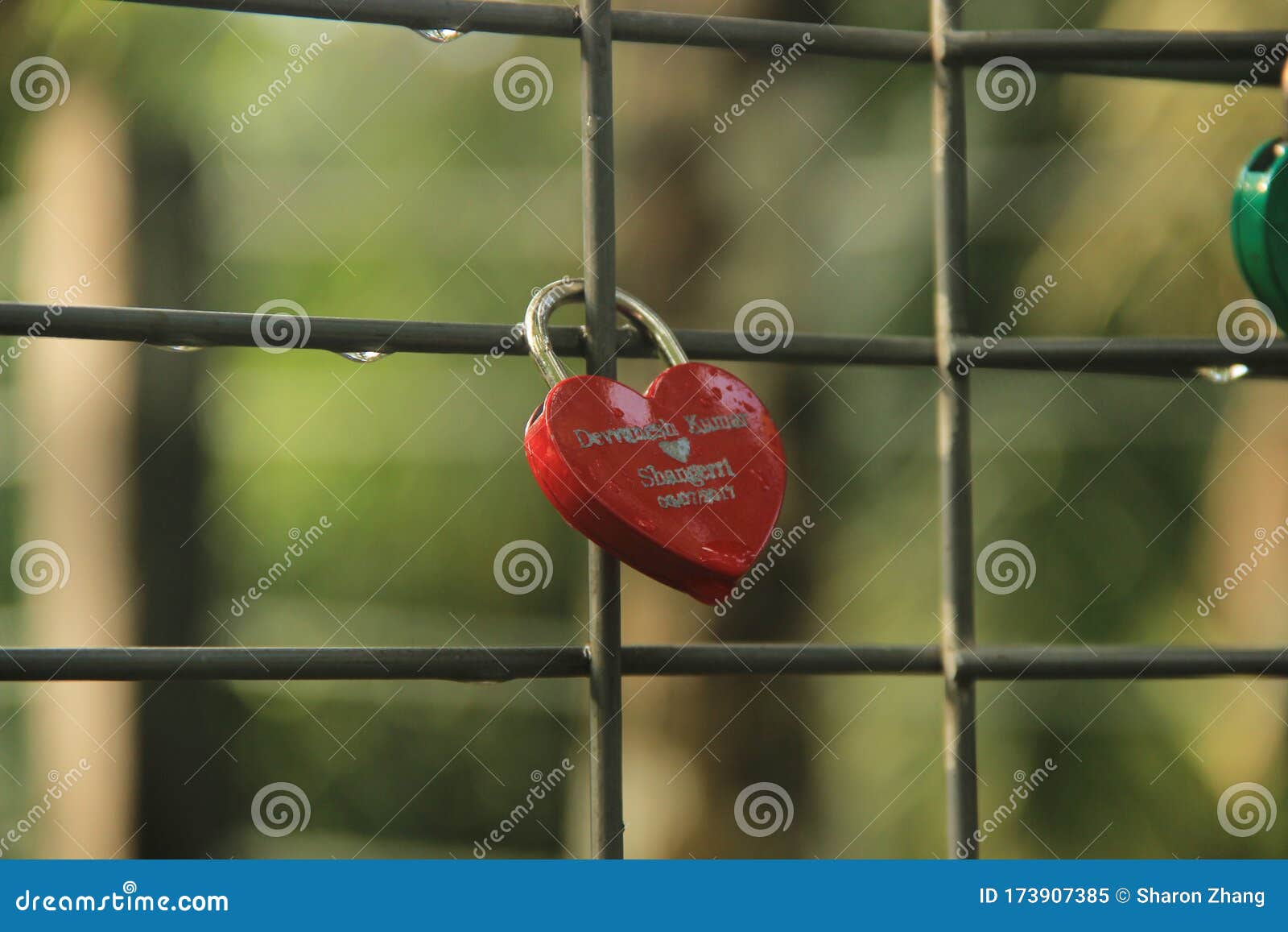 Concentric Lock Royalty-Free Stock Photo | CartoonDealer.com #29984457
