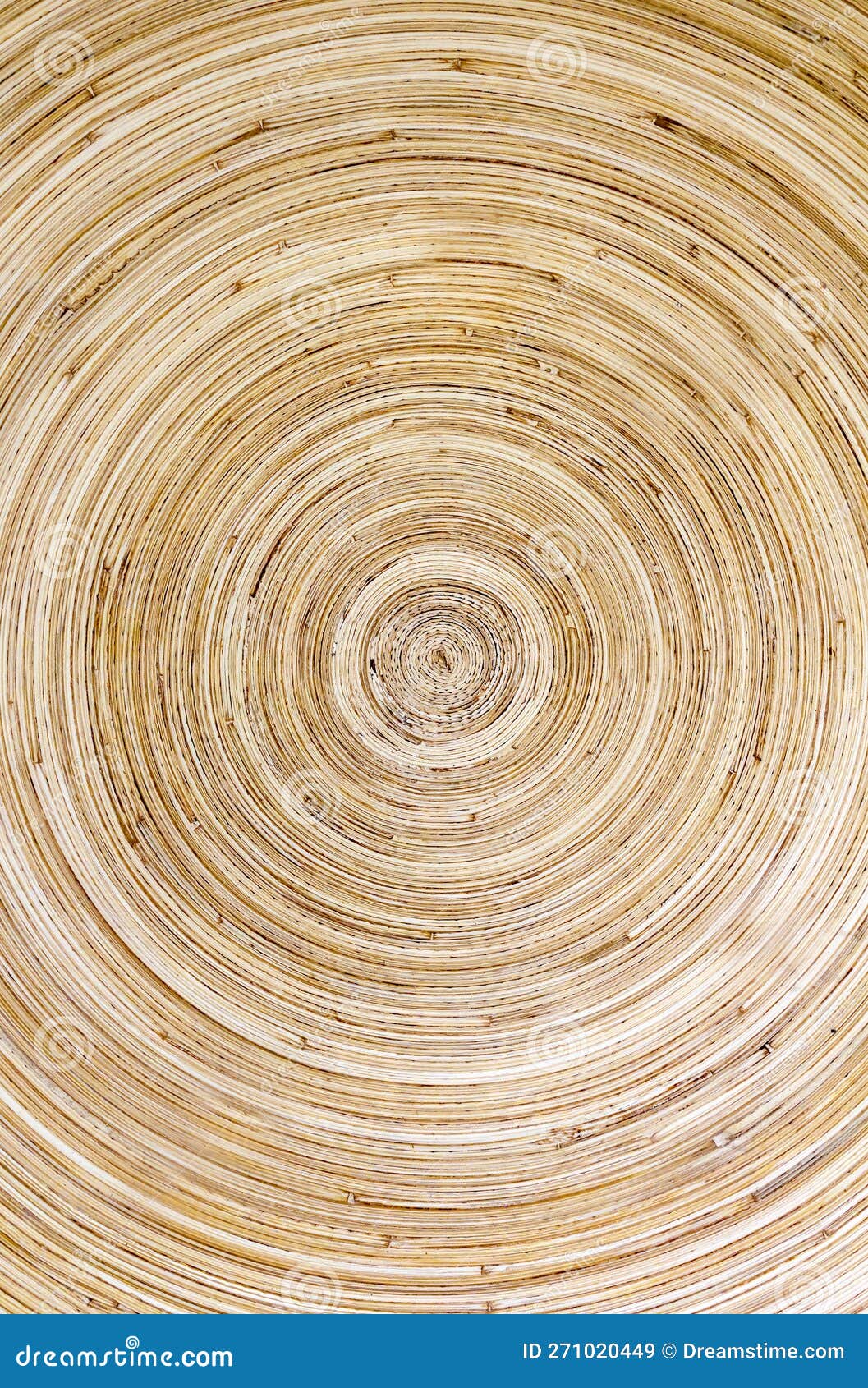 Concentric Patterns of Wood Stock Image - Image of background, history ...