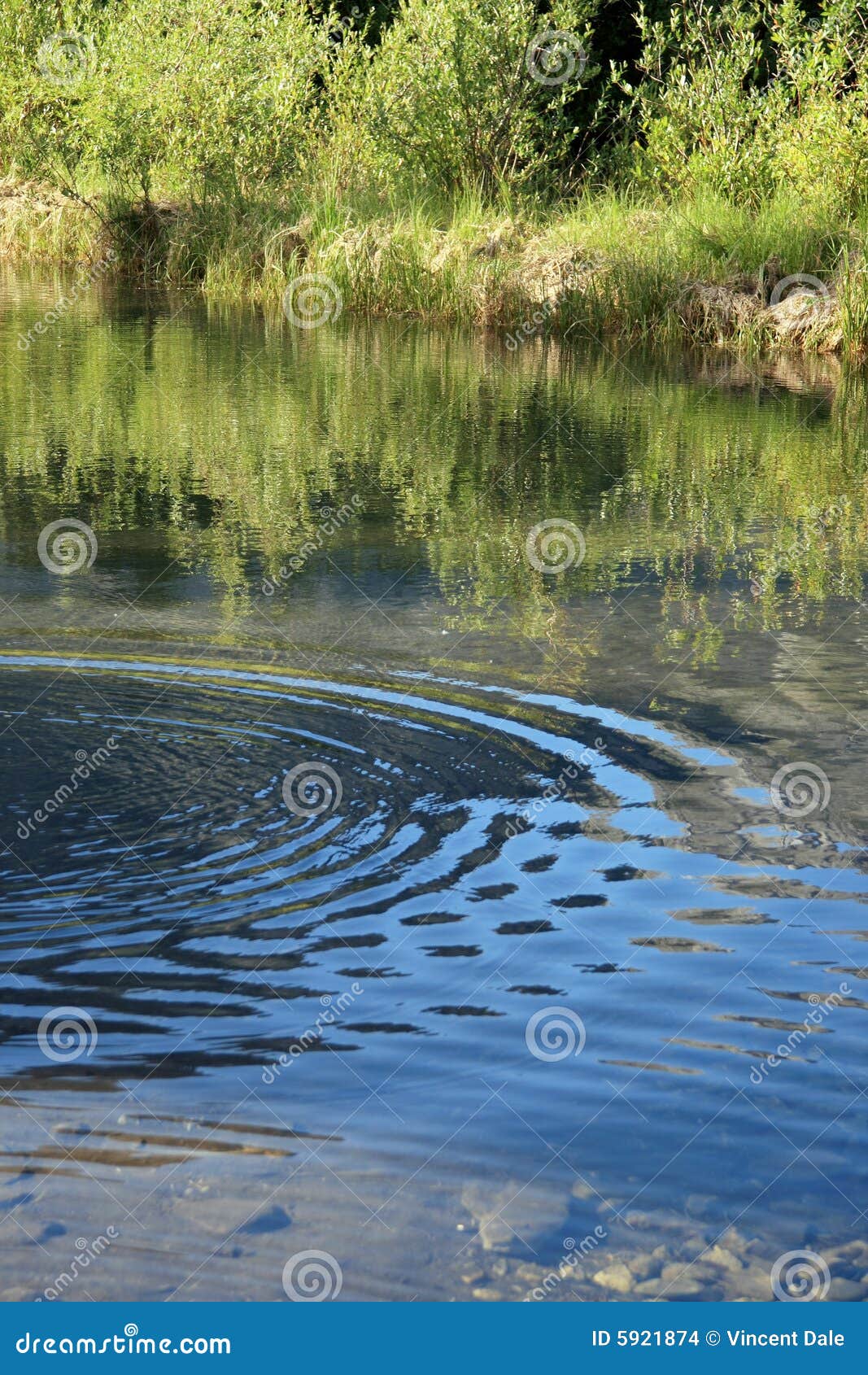 Concentric Ripples stock photo. Image of outdoors, peaceful - 5921874
