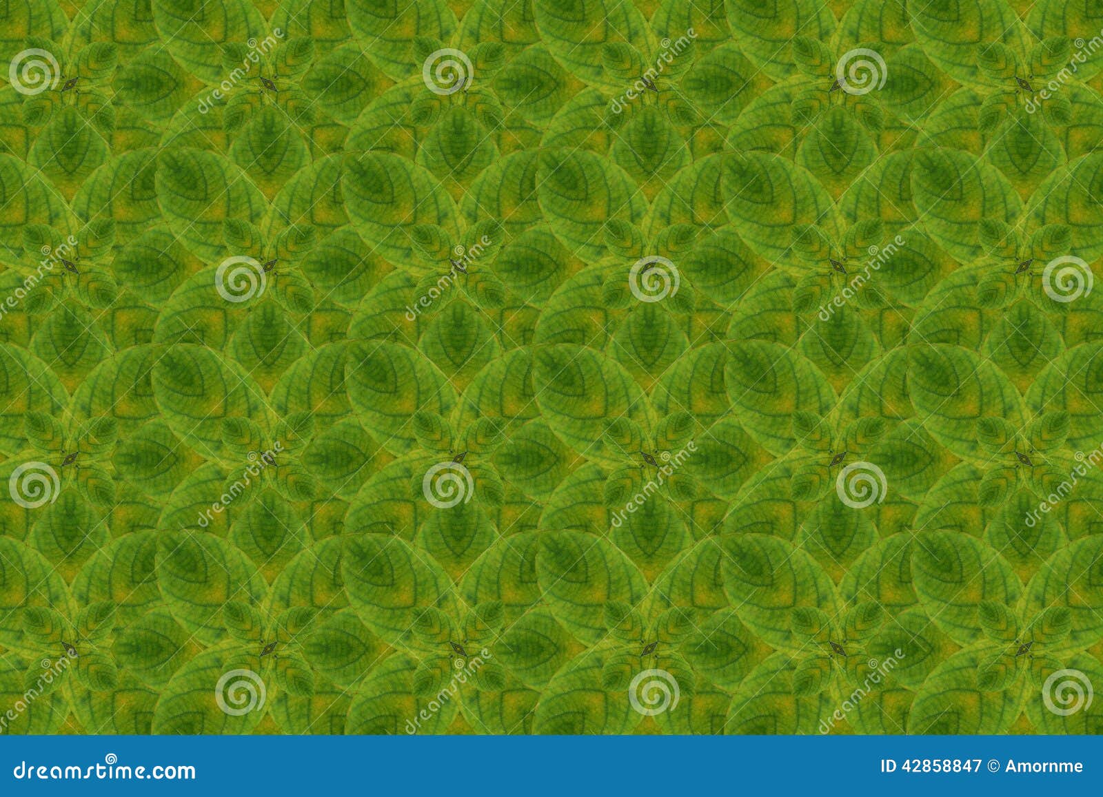 Concept art from leaves. stock image. Image of frame - 42858847