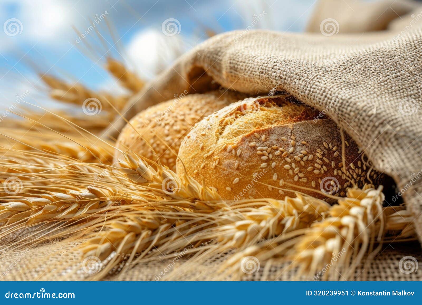 The Concept of Baking Bread. Various Breads and Wheat Varieties ...