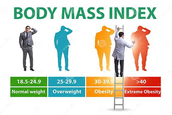 Concept Of Bmi Body Mass Index Stock Image Image Of Fatness Belly