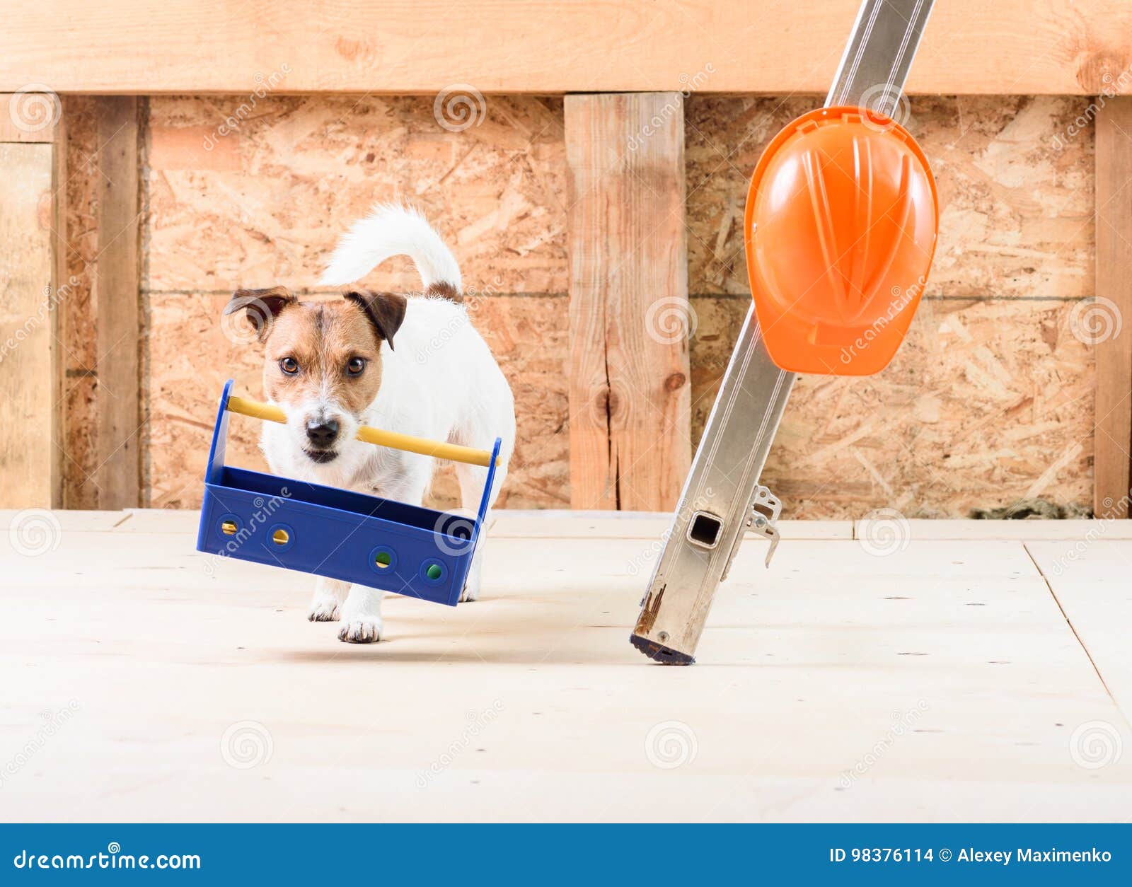 Concept of Builder Job: Funny Worker with Toolbox and Hardhat Stock ...