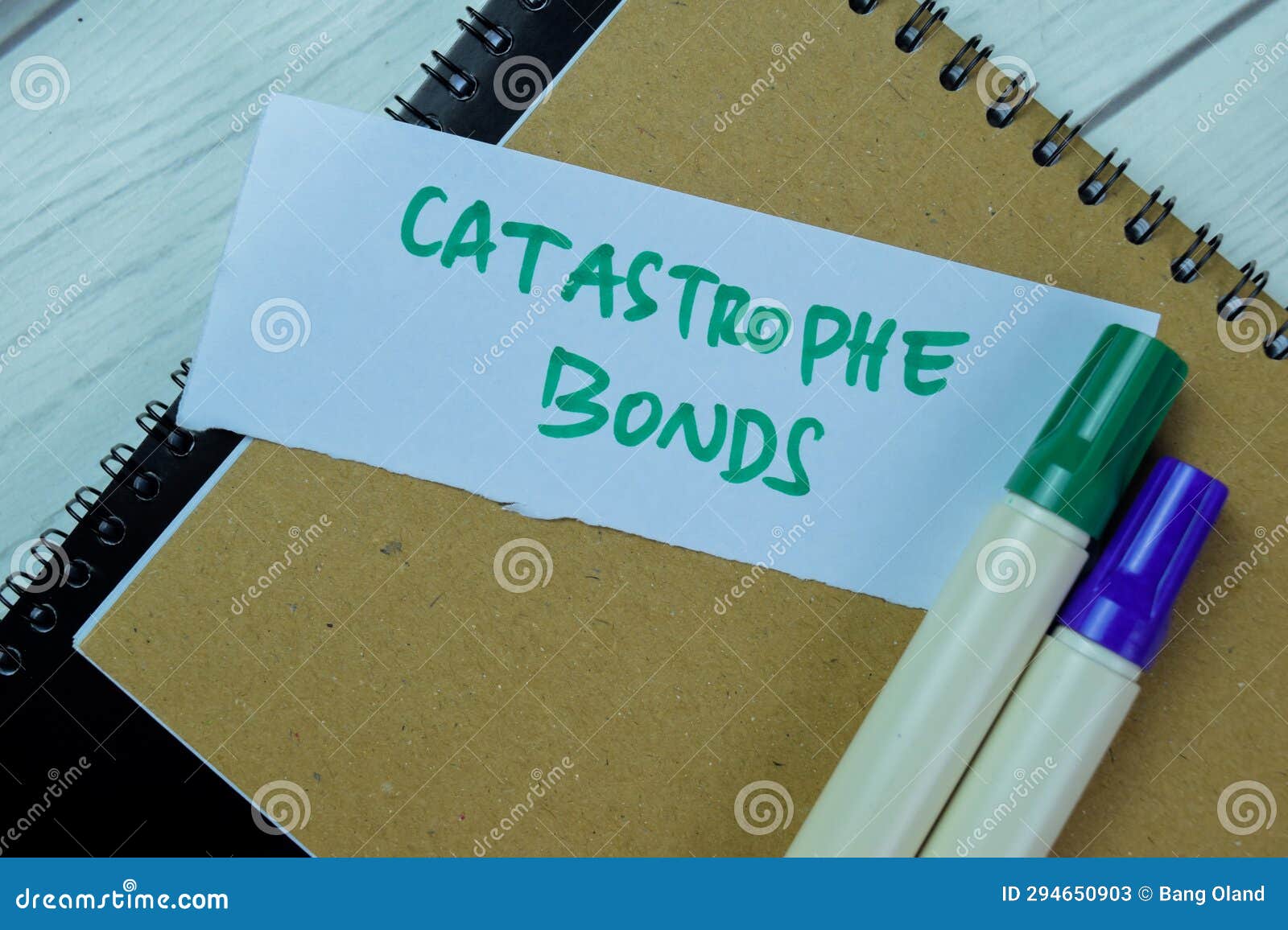 Concept of Catastrophe Bonds Write on Sticky Notes Isolated on Wooden ...