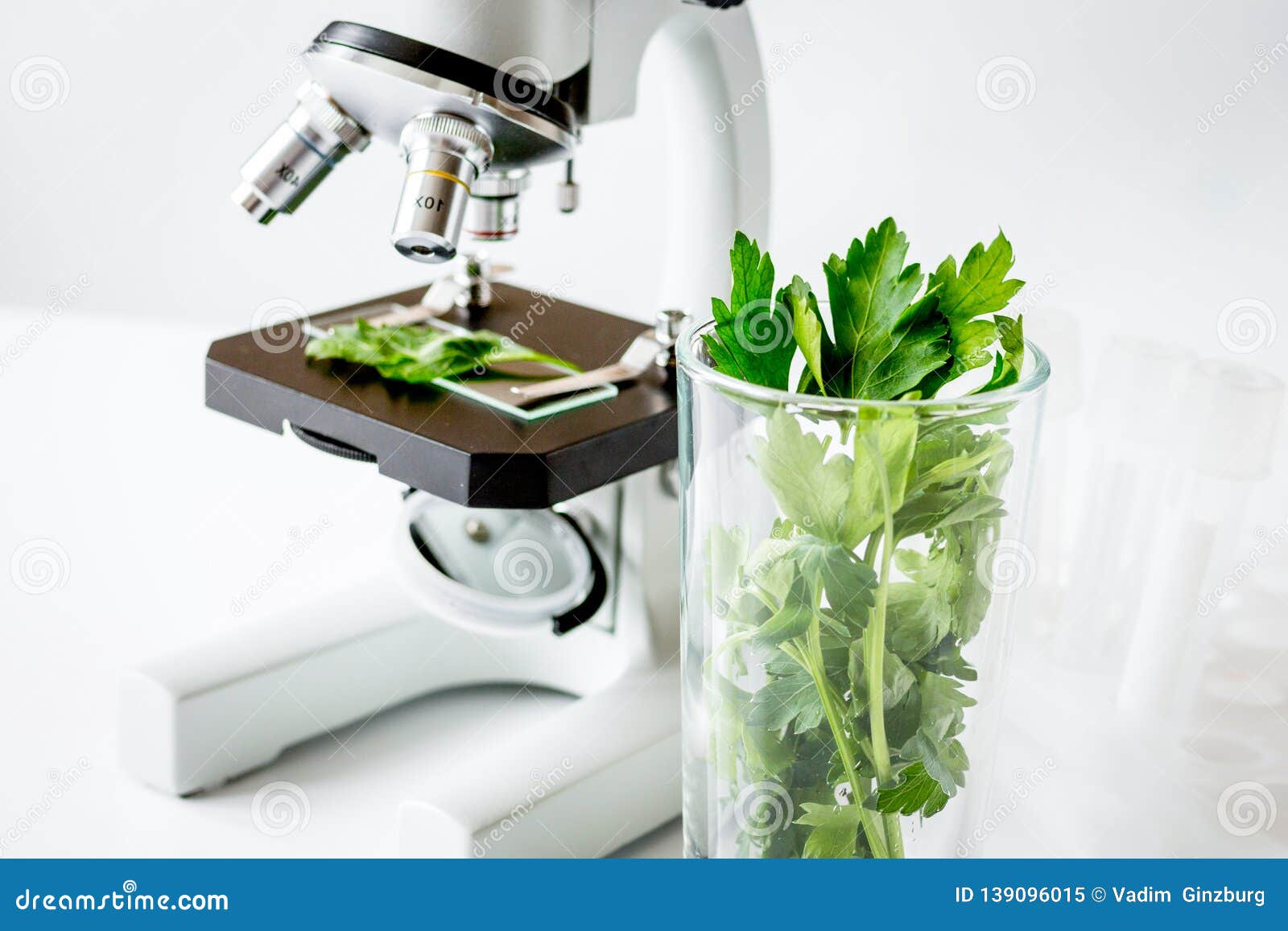 Concept - Check Dietary Supplements in Laboratory on Microscope Stock ...