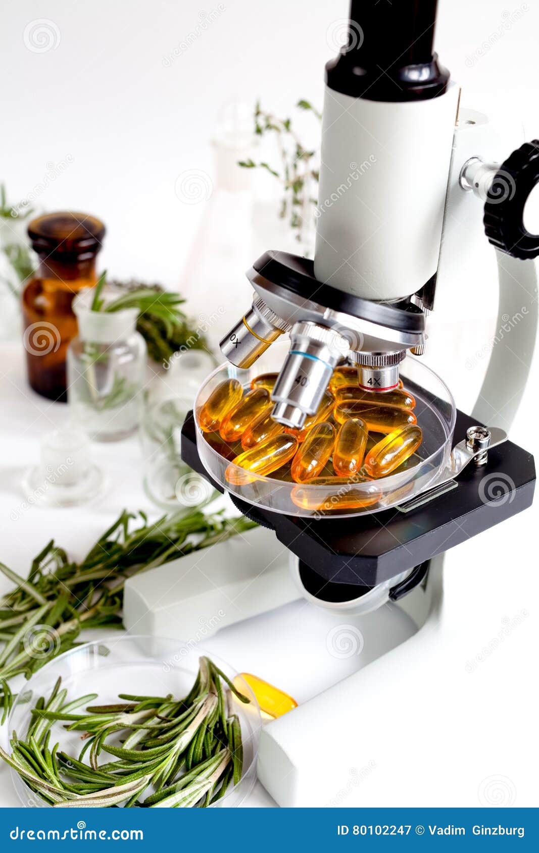 Concept - Check Dietary Supplements in Laboratory on Microscope Stock ...