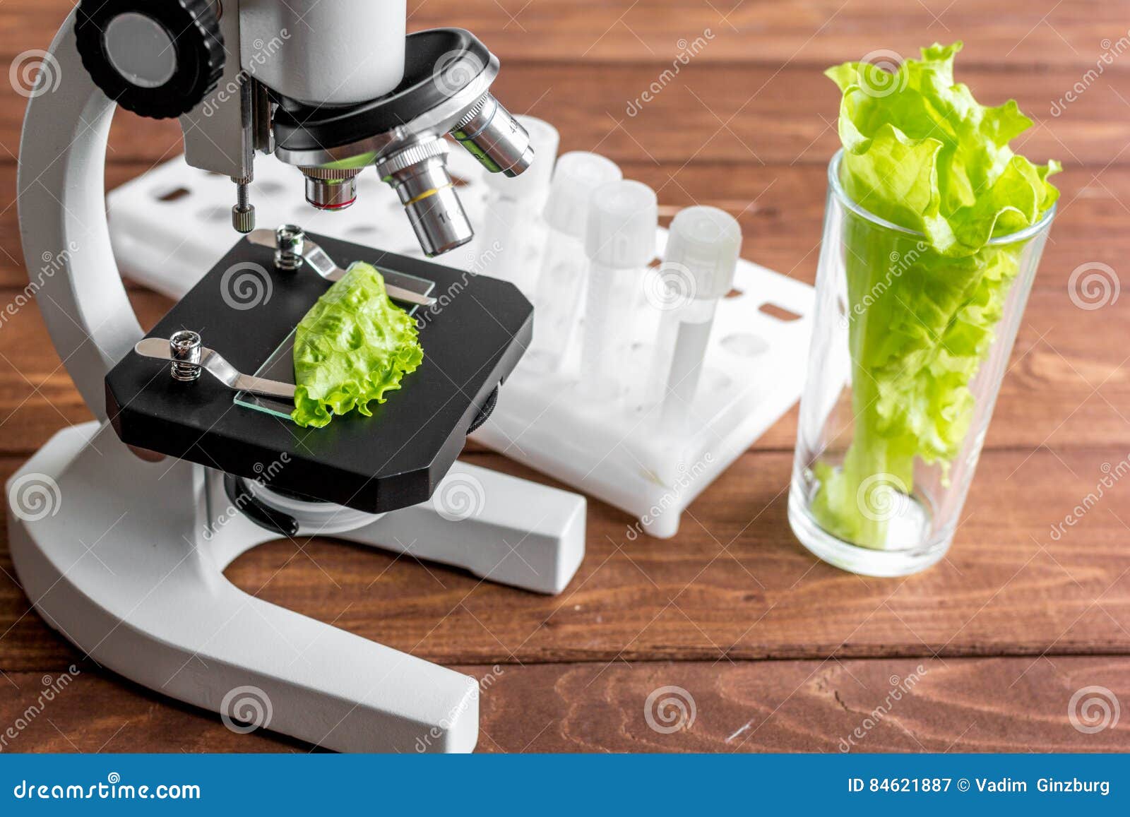 Concept - Check Dietary Supplements in Laboratory on Microscope Stock ...