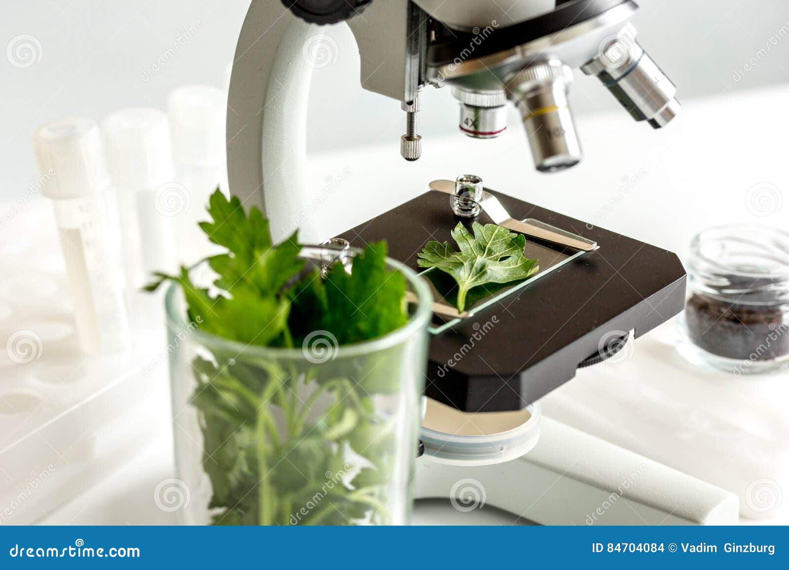 Concept - Check Dietary Supplements in Laboratory on Microscope Stock ...