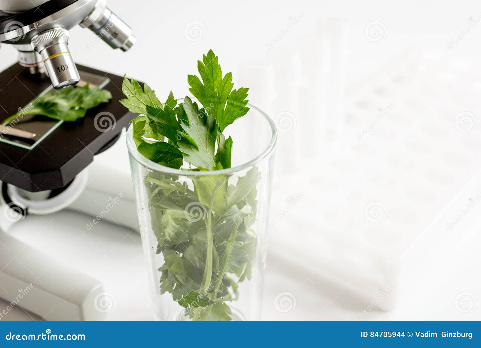 Concept - Check Dietary Supplements in Laboratory on Microscope Stock ...