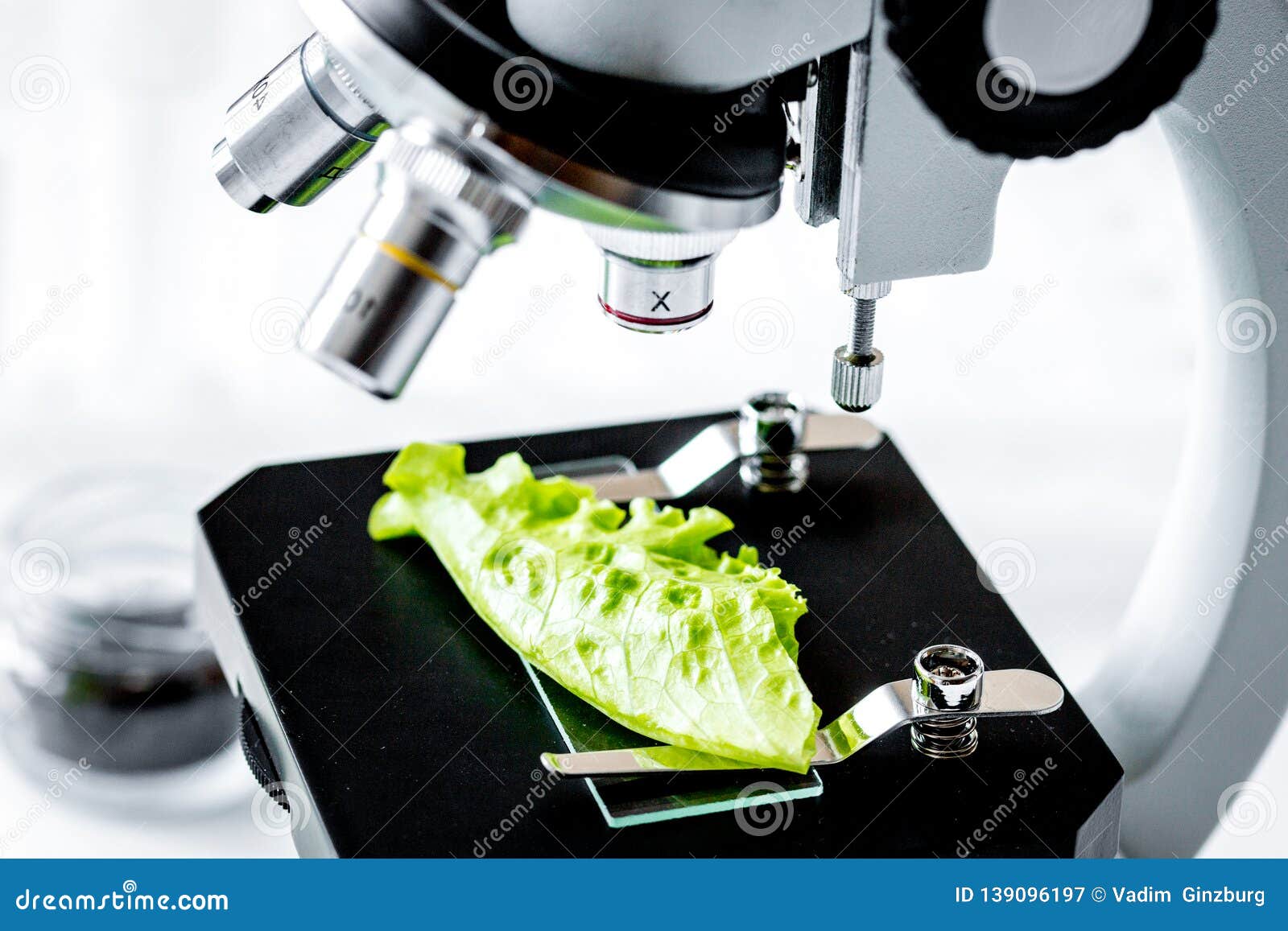 Concept - Check Dietary Supplements in Laboratory on Microscope Stock ...