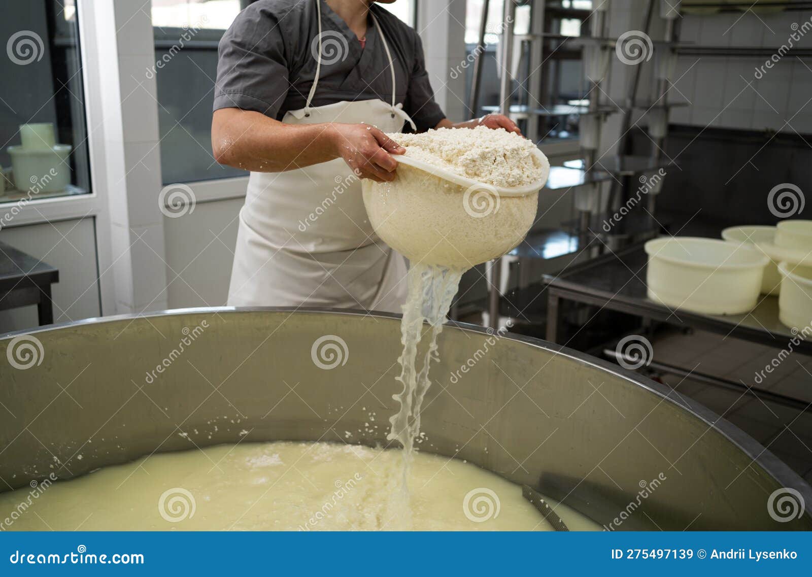 Concept of Cheese Production Process. Draining the Whey through Sieve ...