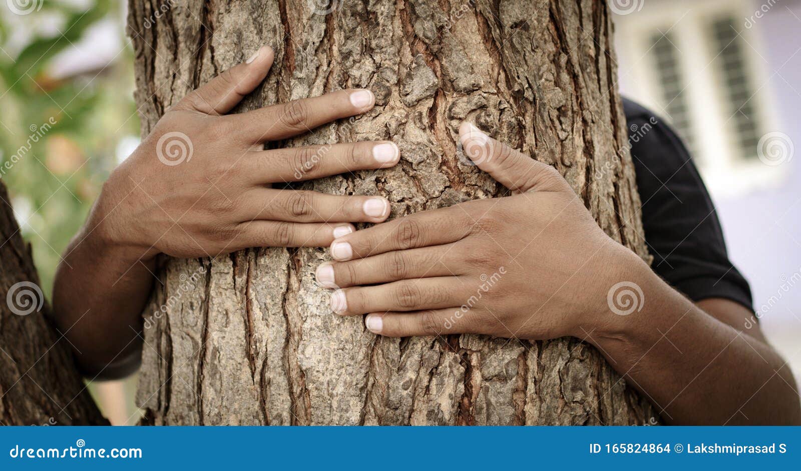 Concept of Chipko Movement or Chipko Andolan - Hands Hugging Tree ...