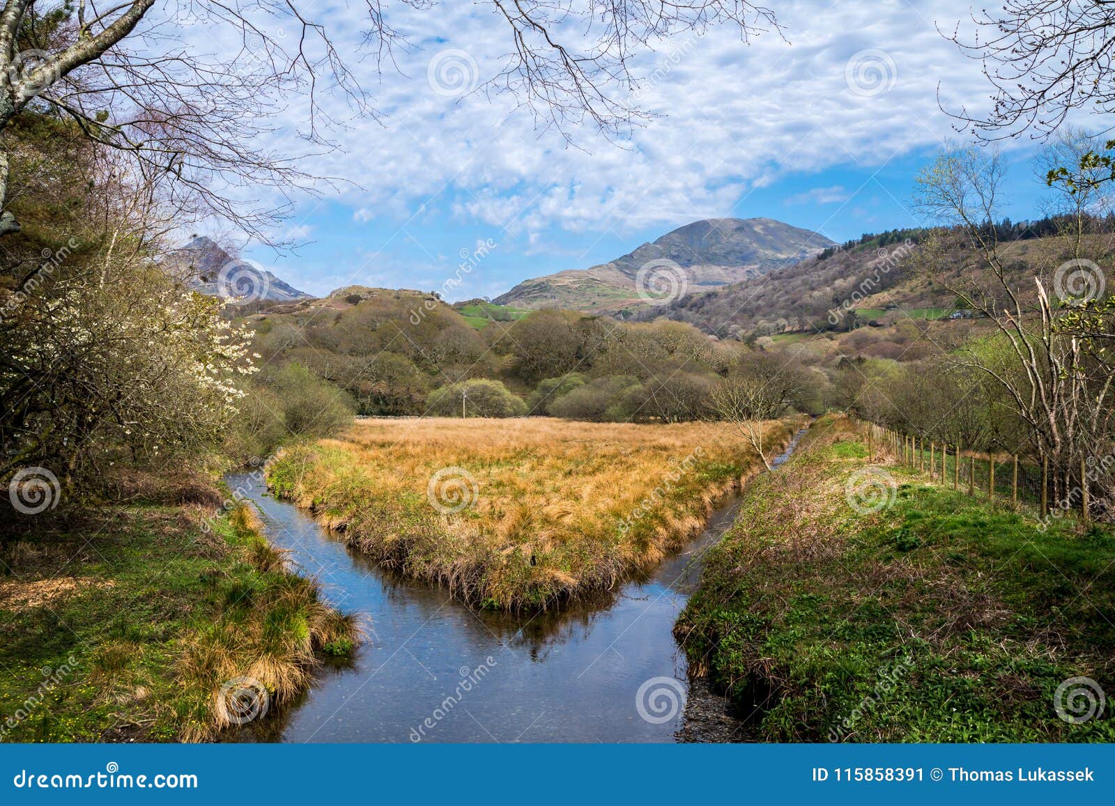 Concept of Choice with Rivers Spliting in Two Ways Stock Image - Image ...
