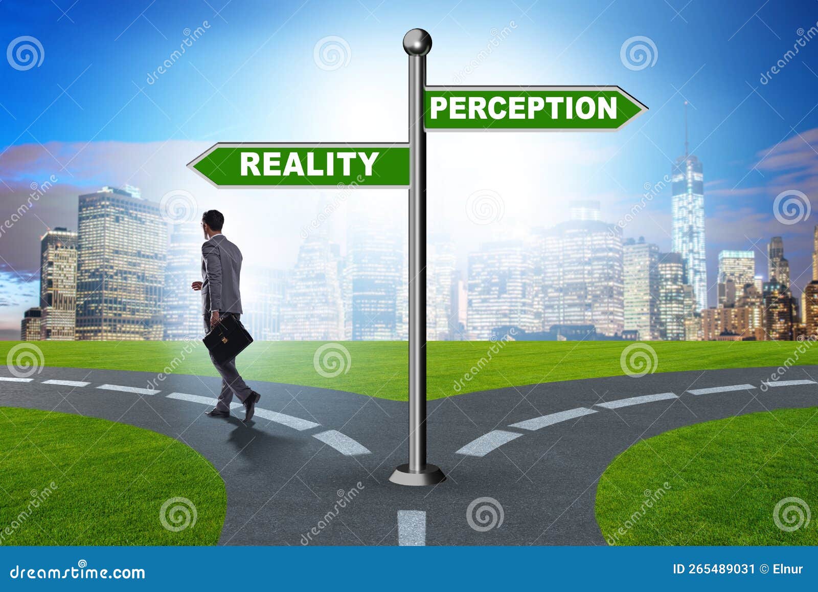 Concept of Choosing Perception or Reality Stock Illustration ...