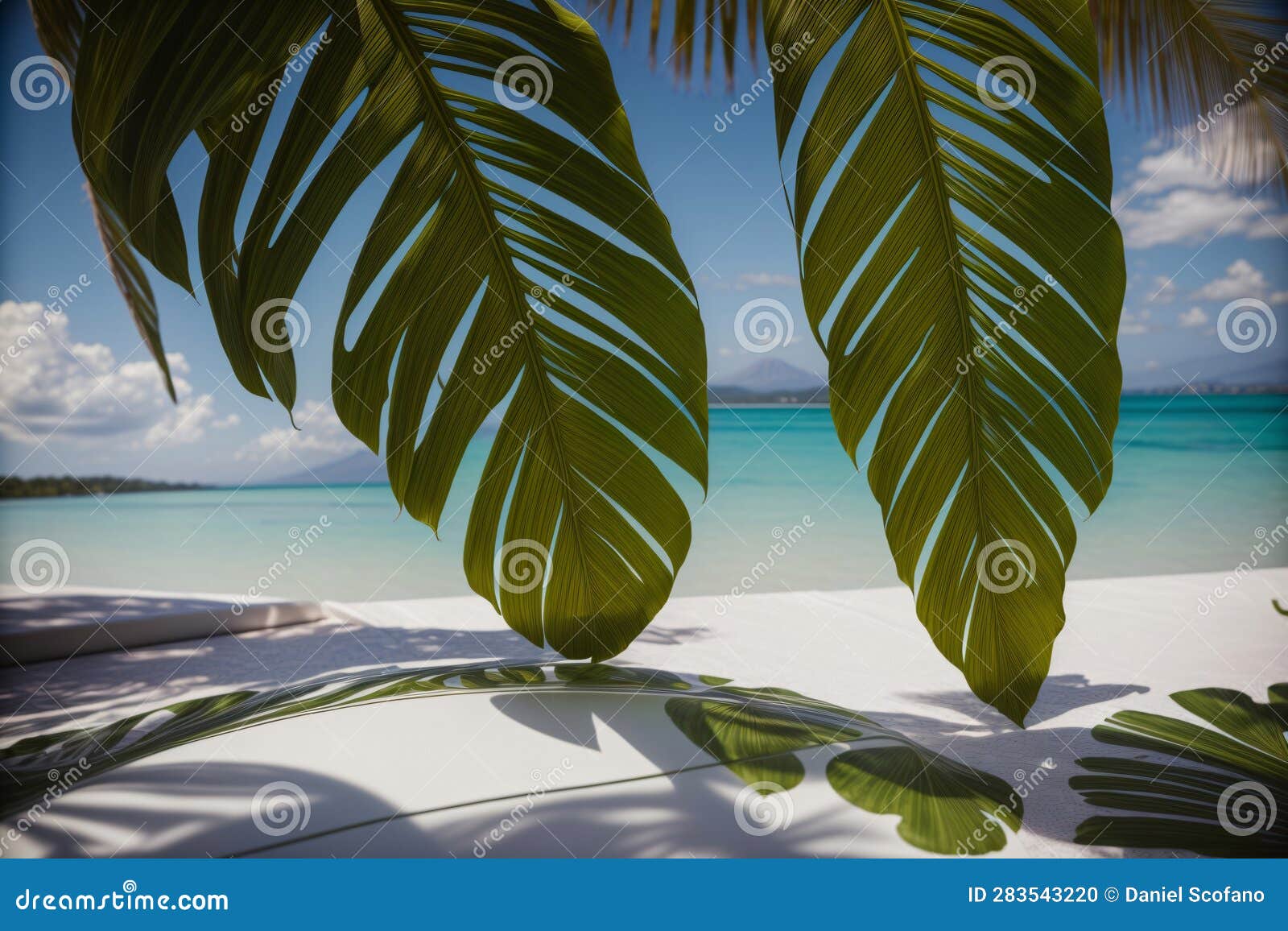A Close Up of a Palm Leaf on a Beach. Generative AI Stock Illustration ...