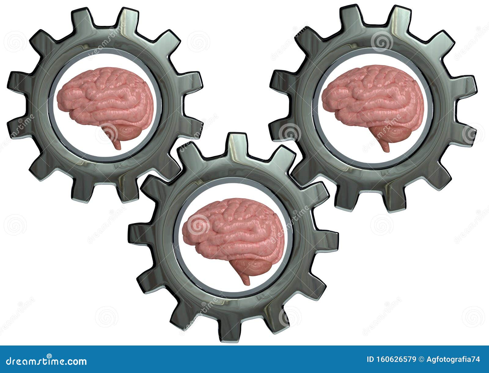 Cognitive Development Progress Stages By Age, Vector Illustration ...
