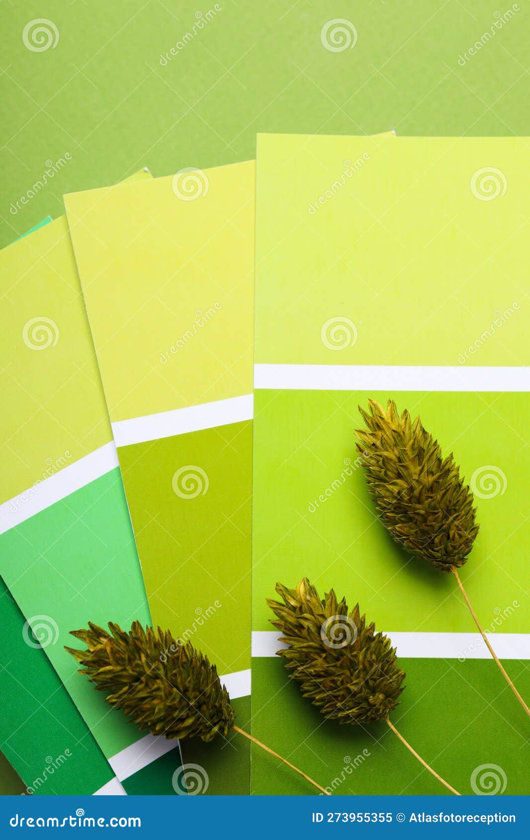 Concept of Colors for Design, Color Palettes, Top View Stock Image ...