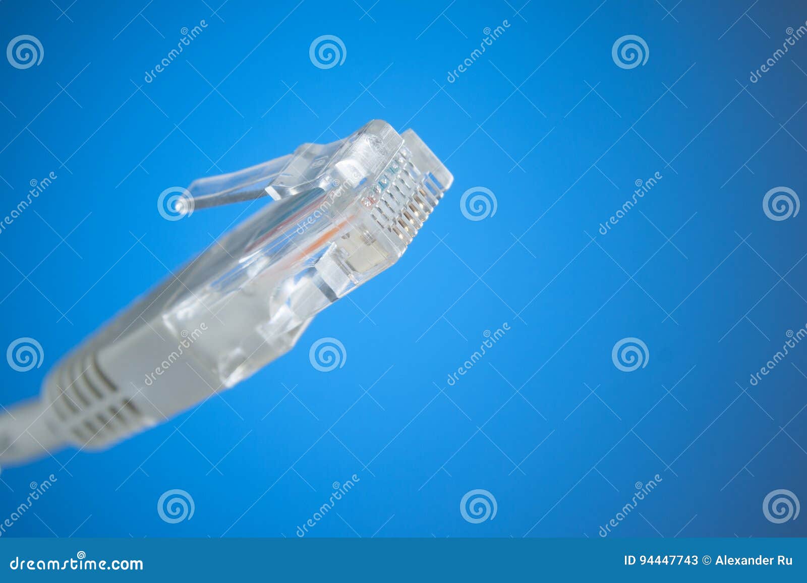 The Concept of Connection To the Internet. Plug RJ 45 Close-up Stock ...