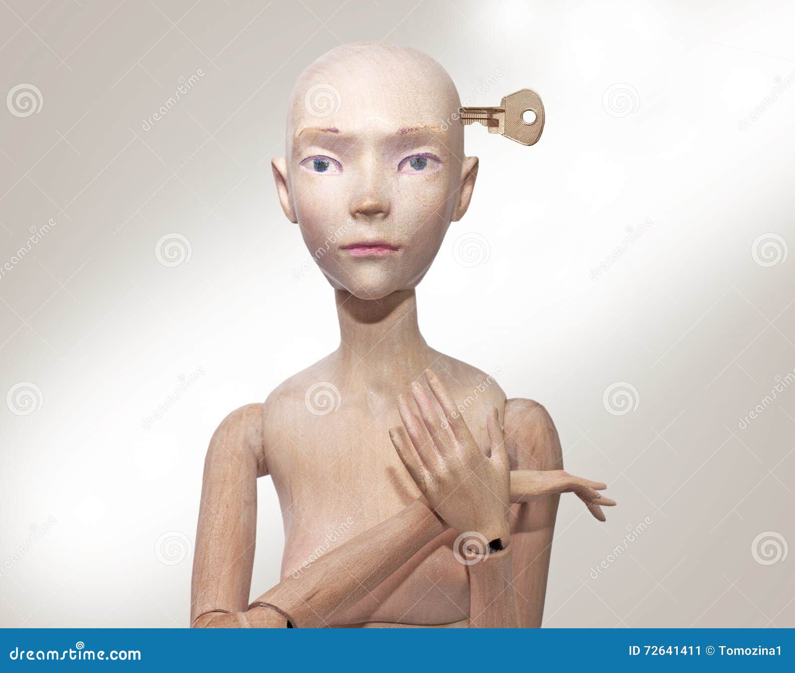 Concept of control stock image. Image of conceptual, manikin - 72641411