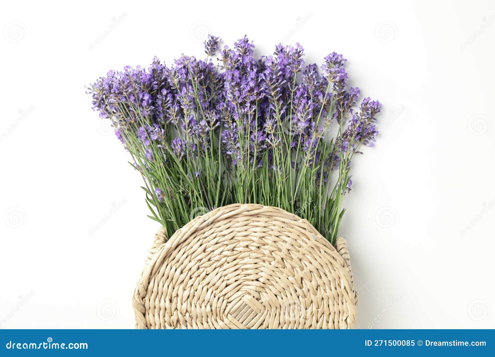 Concept of Cozy with Flowers, Beautiful Lavender Flowers Stock Image ...
