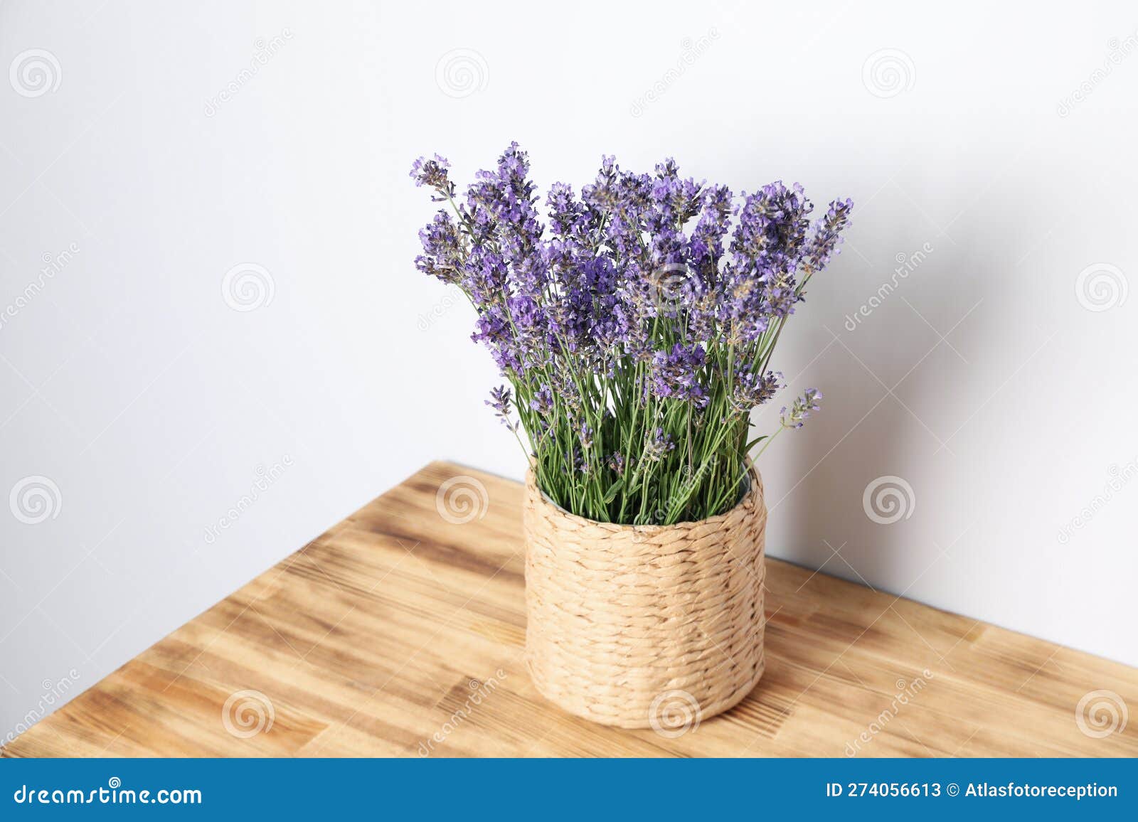 Concept of Cozy with Flowers, Beautiful Lavender Flowers Stock Image ...