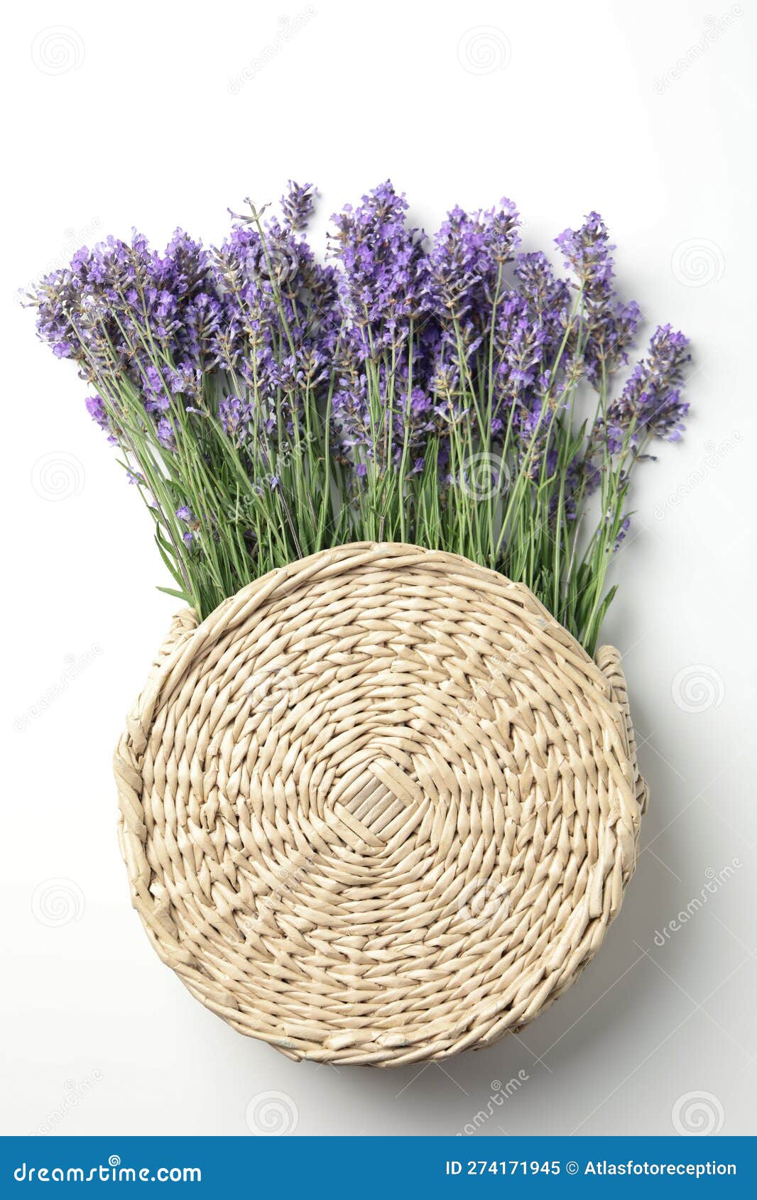 Concept of Cozy with Flowers, Beautiful Lavender Flowers Stock Image ...