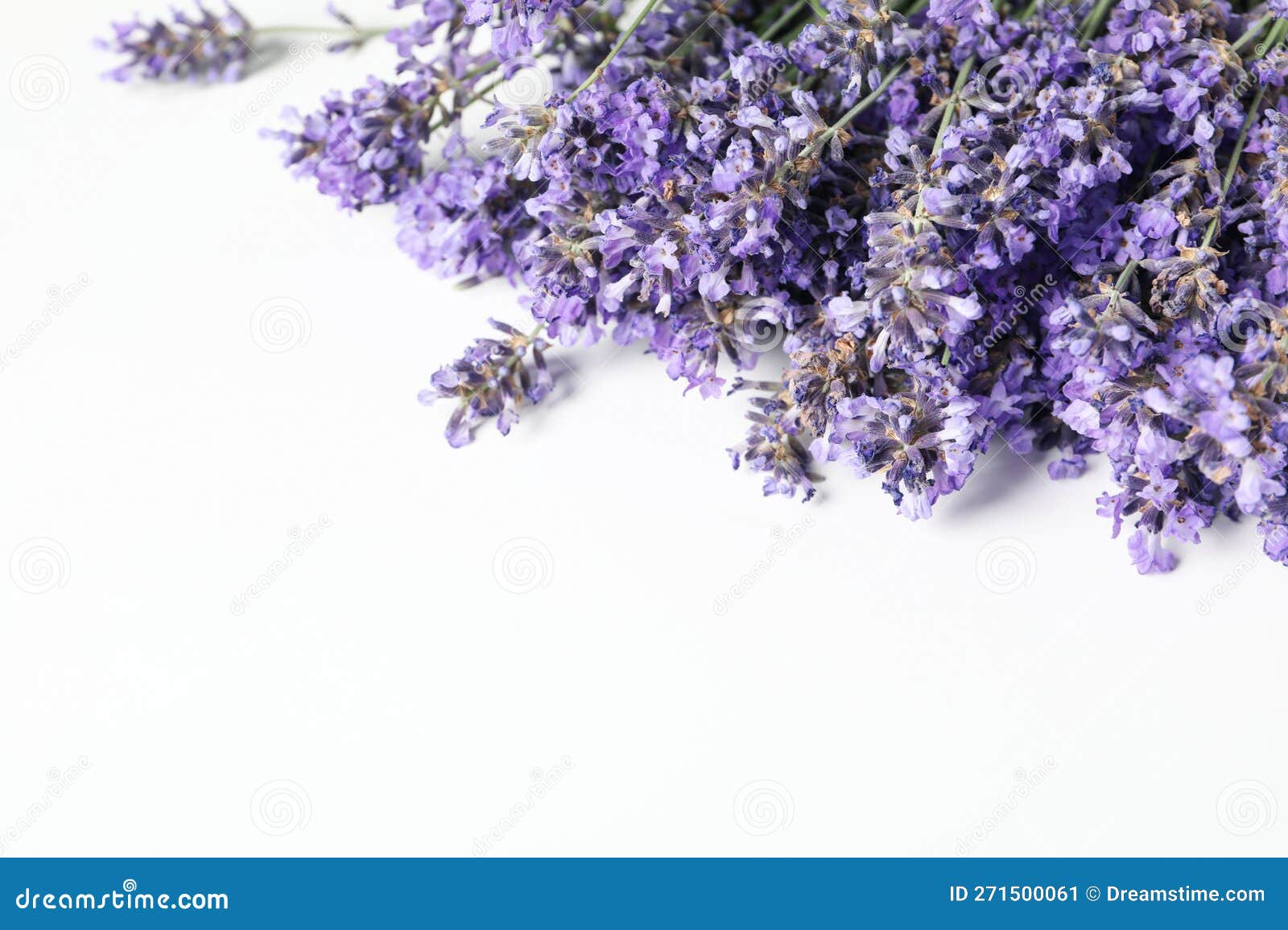 Concept of Cozy with Flowers, Lavender Flowers, Space for Text Stock ...