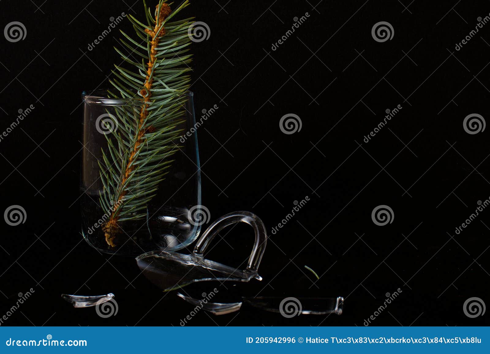 Concept Created with Shattered Glass Cup and Plants that Fell through ...