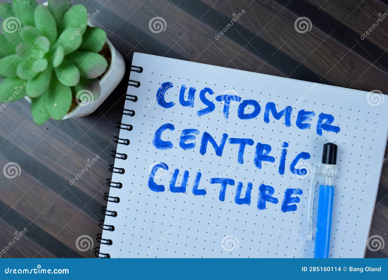 Concept of Customer Centric Culture Write on Book Isolated on Wooden ...
