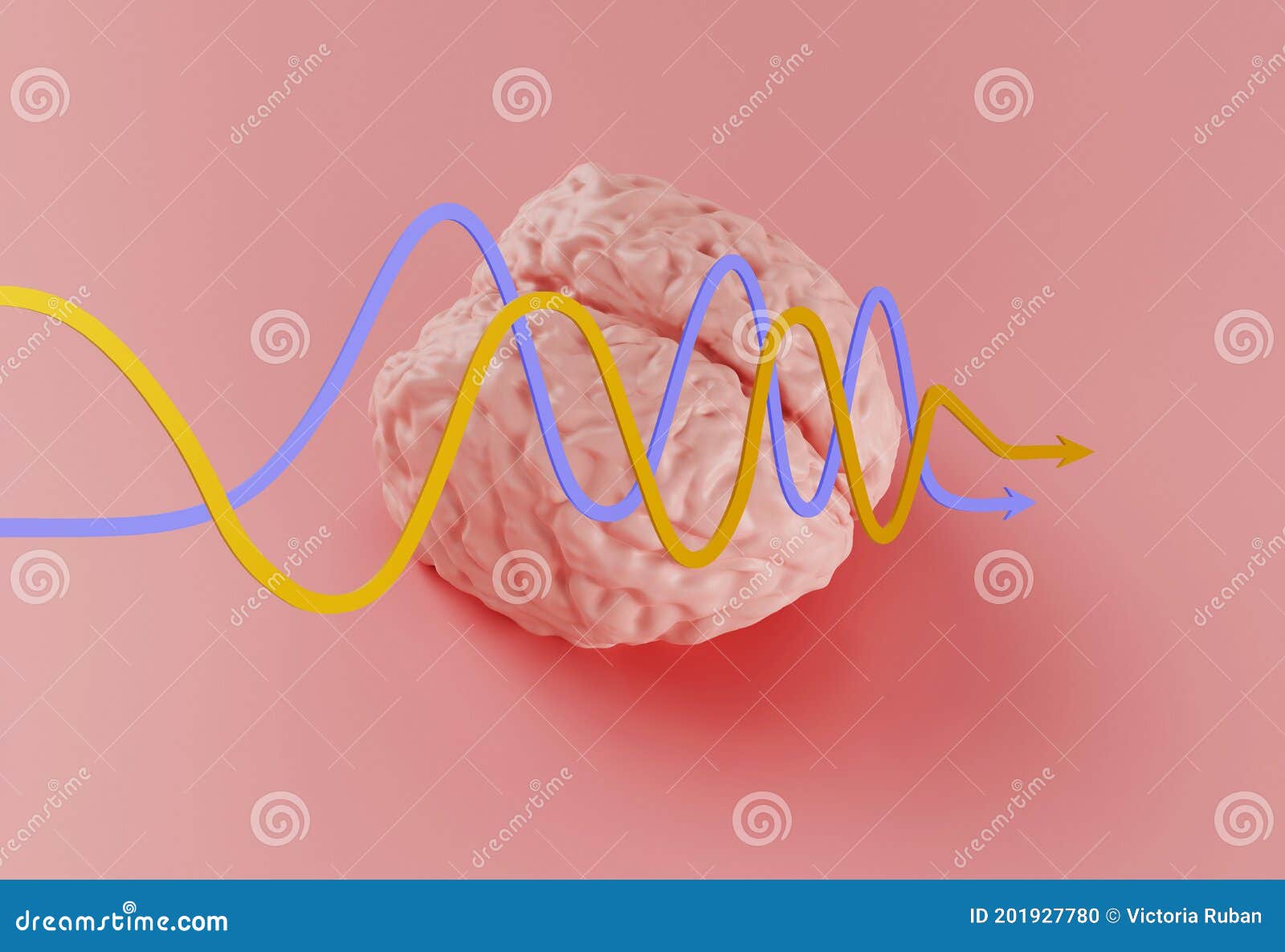 Human Brain Model and Yellow Blue Statistical Curved Arrows Stock ...