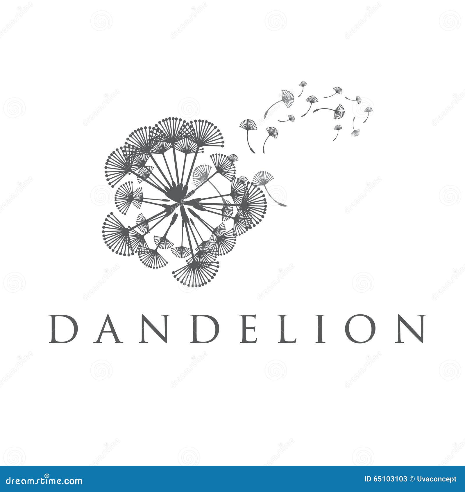 Concept dandelion. Vector stock vector. Illustration of imagination ...