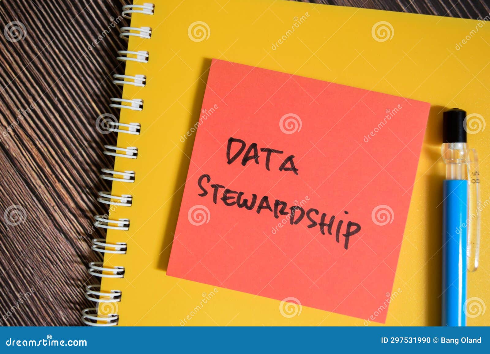Concept of Data Stewardship Write on Sticky Notes Isolated on Wooden ...