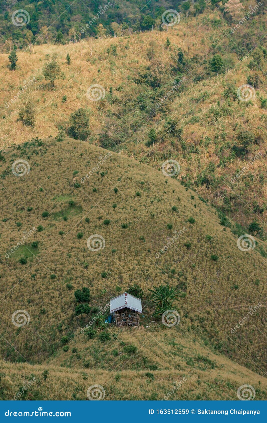 The Concept of Deforest.ation Consists of Destroyed Huts and Forests ...