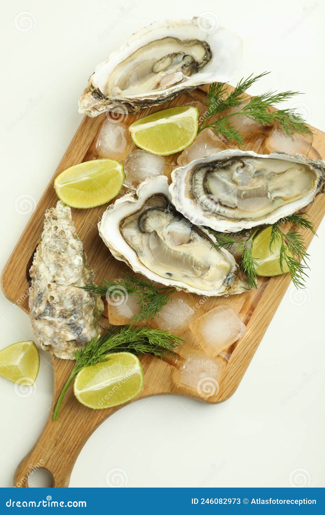 Concept of Delicious Seafood, Oysters, Top View Stock Image - Image of ...