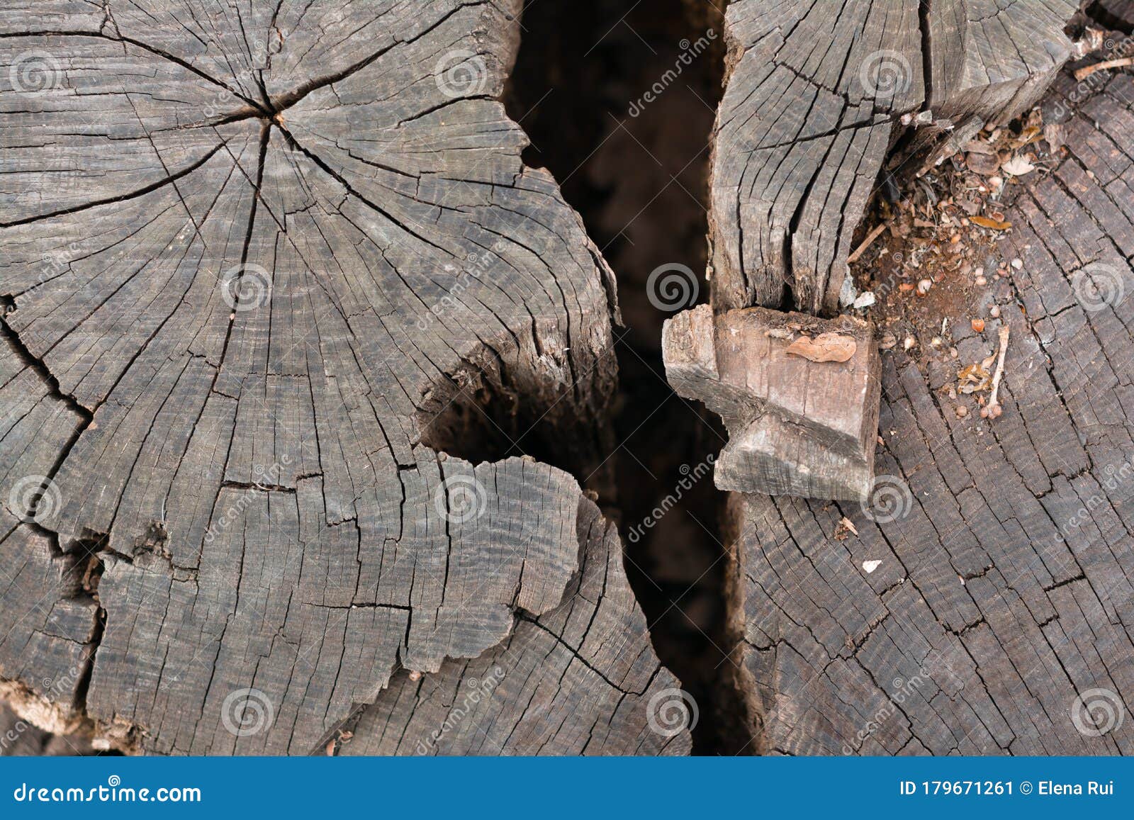 The Concept of Destruction and Collapse. Deep Crack in the Cut of a ...