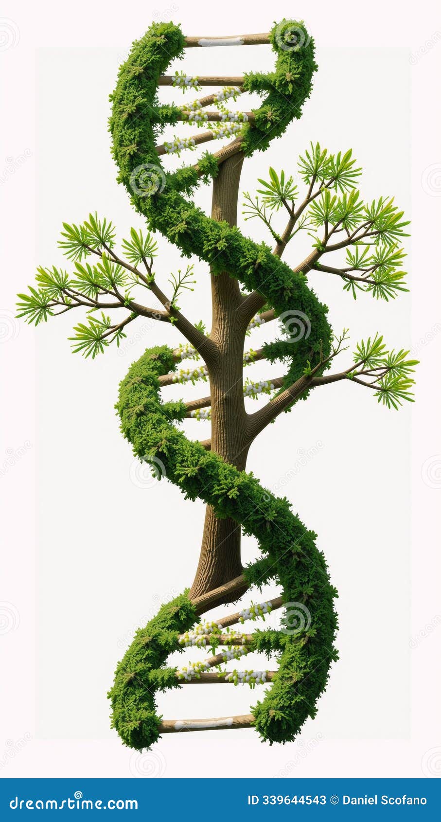DNA Tree Illustrates Genetic Interconnectedness among Organisms Stock ...