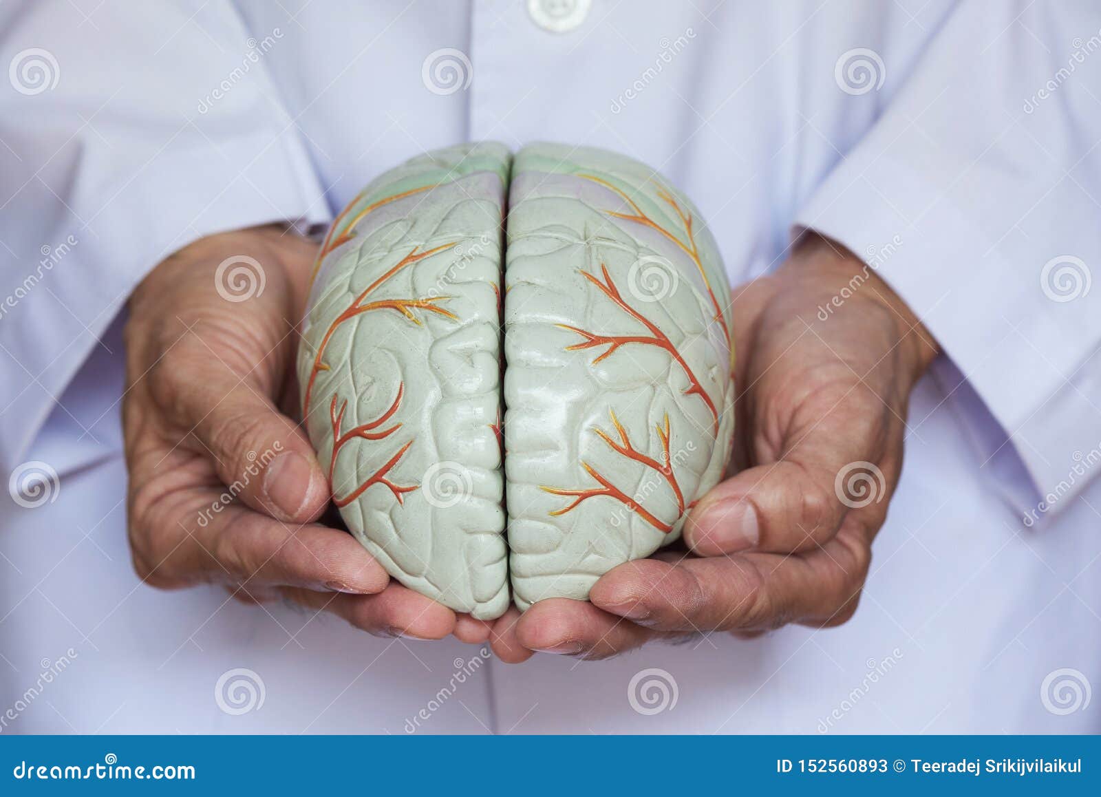 Concept of Doctor Taking Care the Brain Stock Image - Image of neuro ...