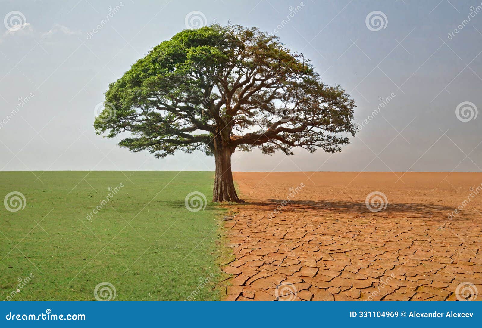 Concept Drought, Climate Change. Tree before and after Drought. Ecology ...