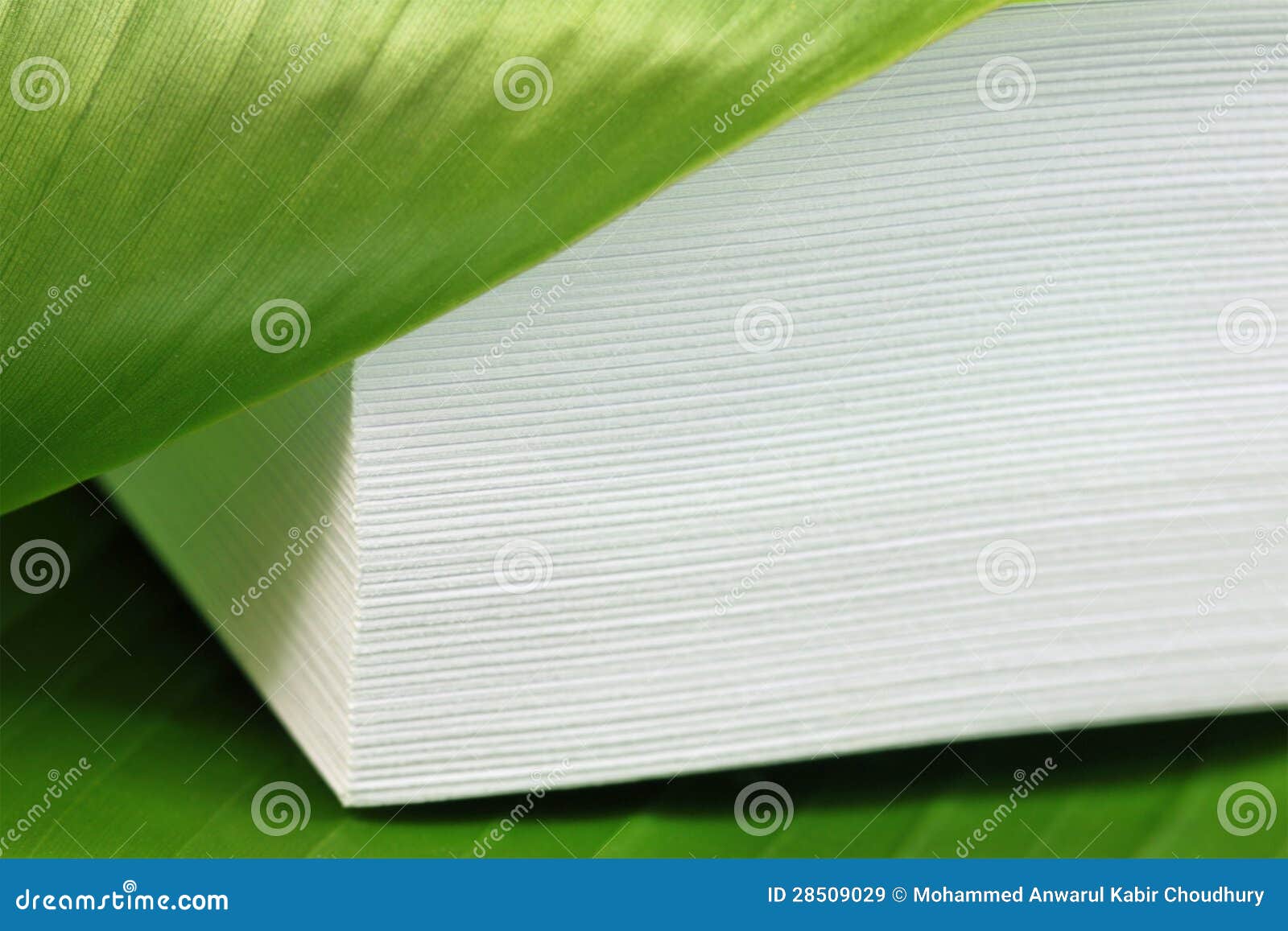 Concept of Echo Friendly Papers Stock Image - Image of order, manage ...