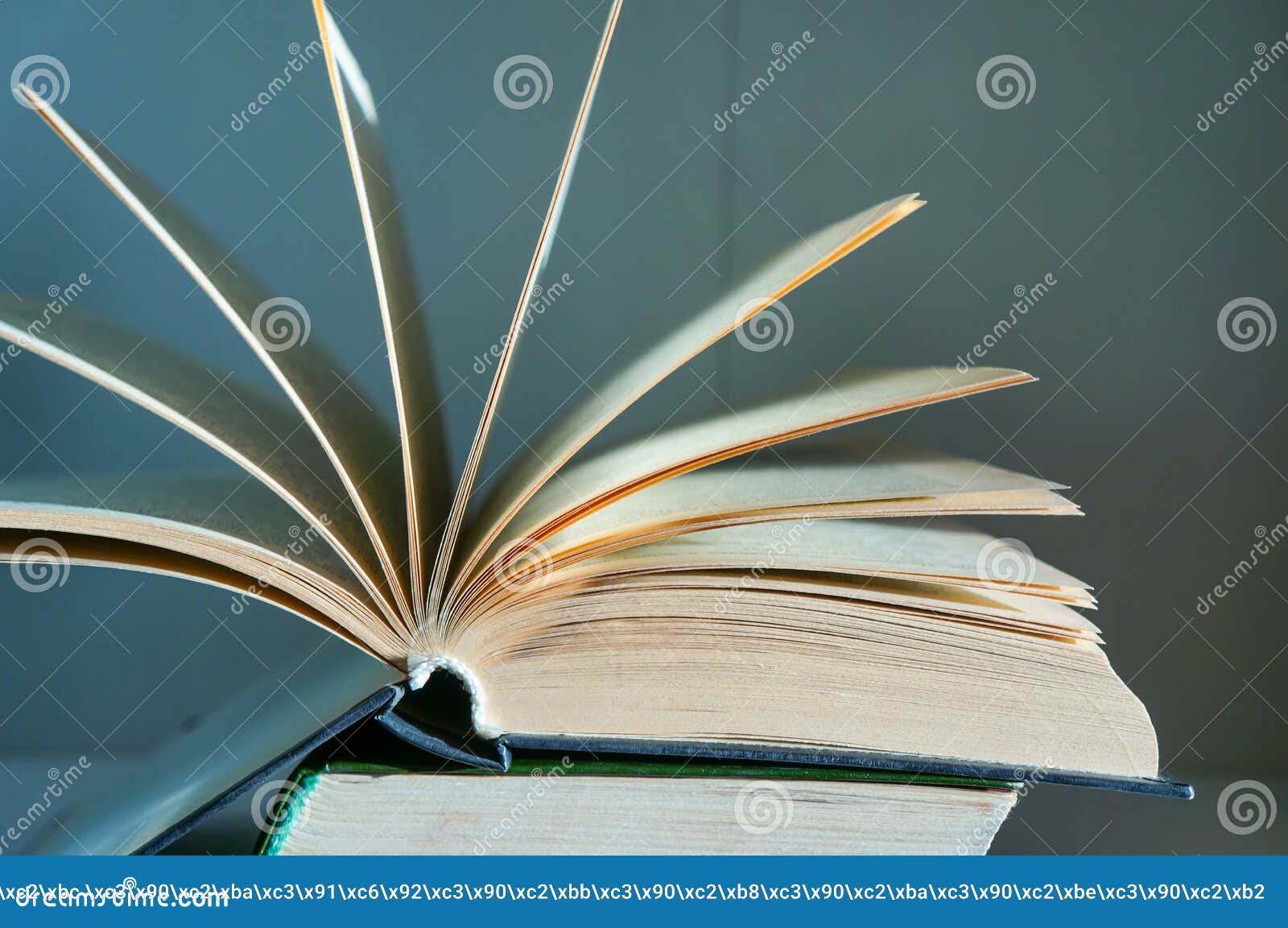 Open book stock photo. Image of isolated, read, pages - 179572586