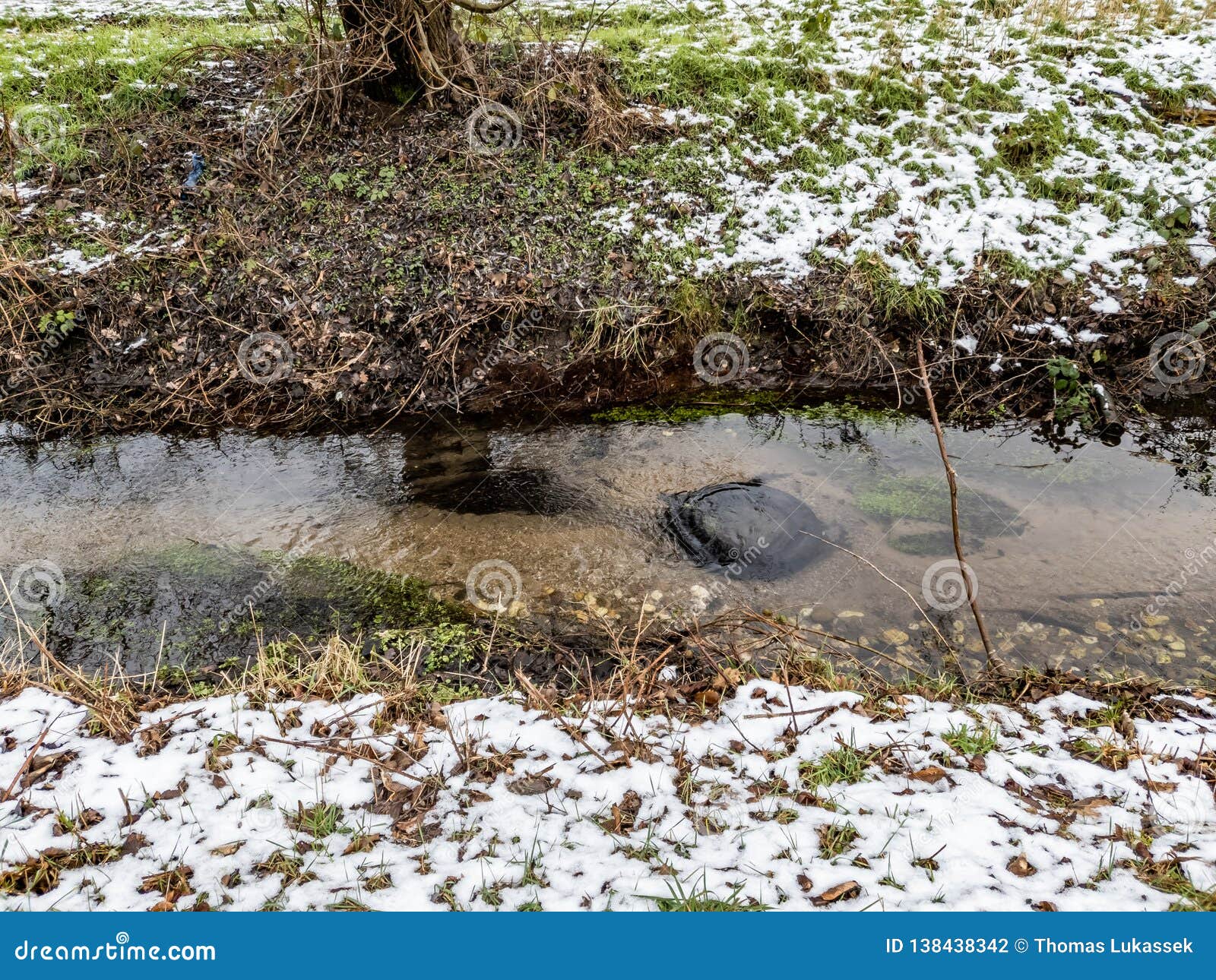 Old Tyre In The Bog. Environmental Problems Pollution. Black And White ...