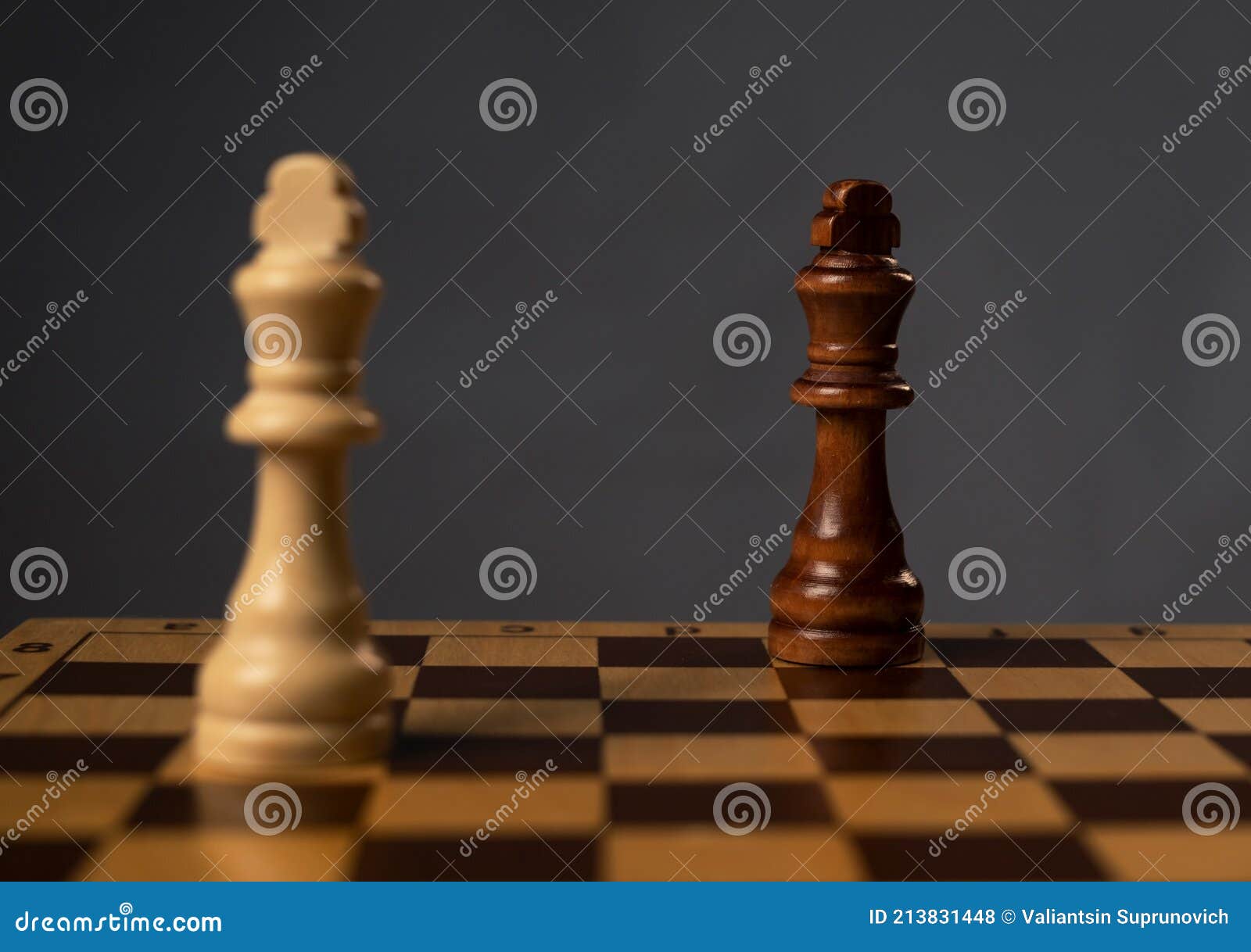 Concept of Equal Battle between Two Chess Kings Stock Photo - Image of ...