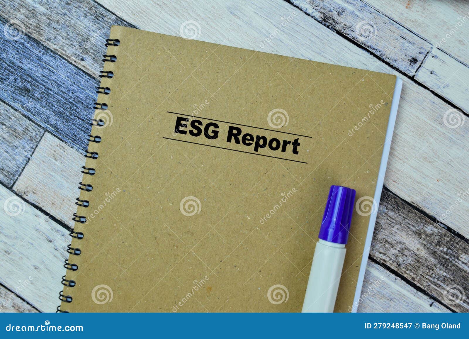 Concept of ESG Report Write on Book Isolated on Wooden Table Stock ...