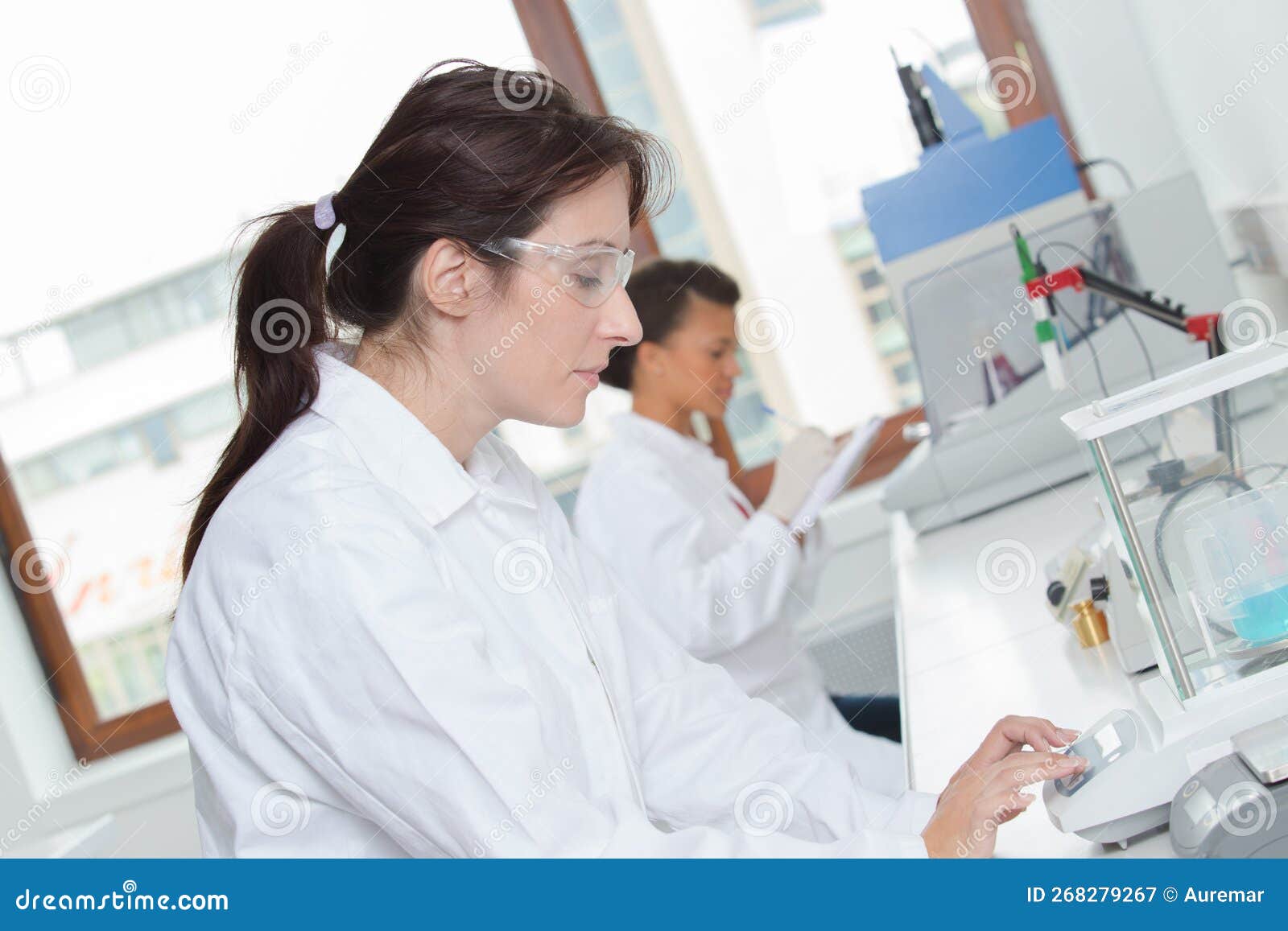 Laboratory Workers Analyzing Grain Samples In Petri Dish, Experiment ...