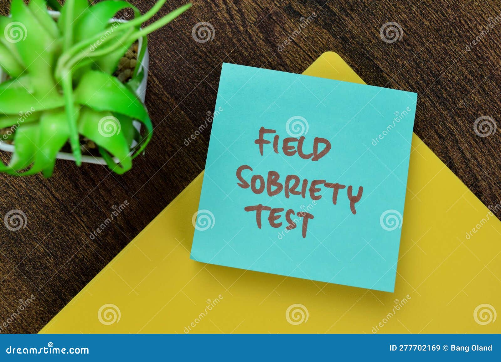 Concept of Field Sobriety Test Write on Sticky Notes Isolated on Wooden ...