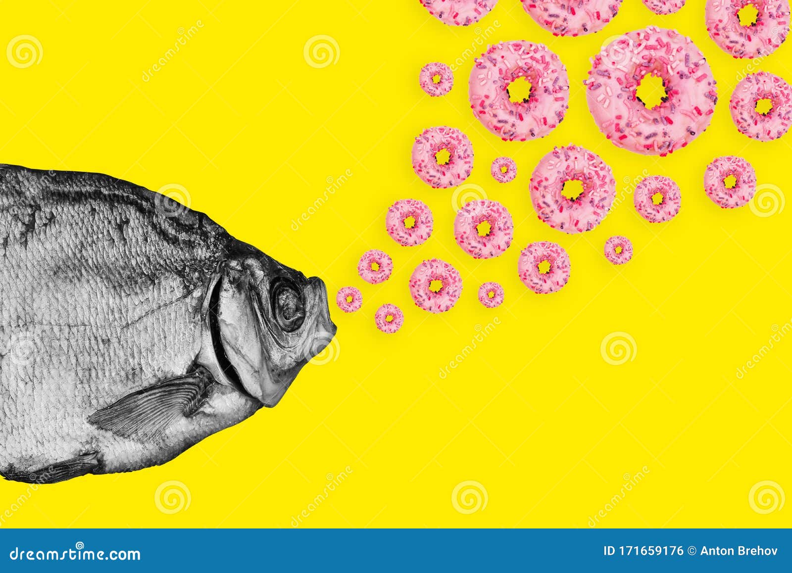 Concept Fish and Donuts on a Colored Background. Modern Art Collage ...