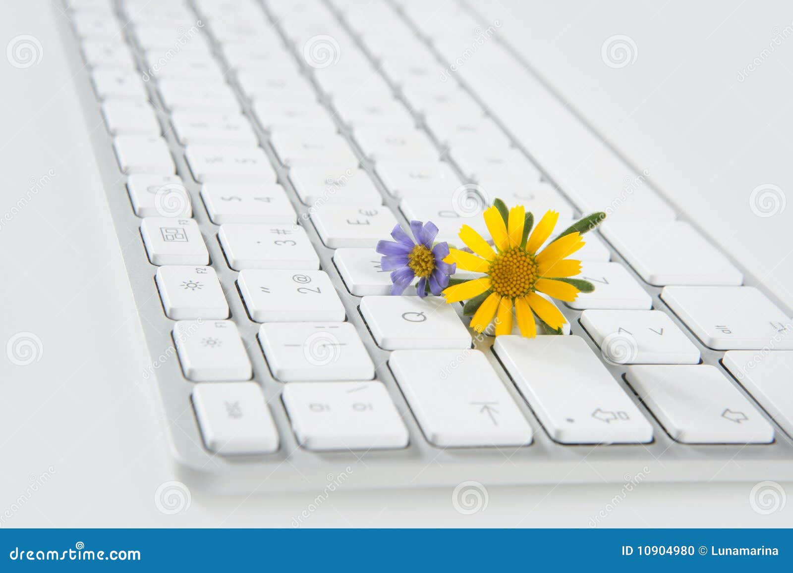Concept of Flowers Growing from Computer Stock Photo - Image of ...