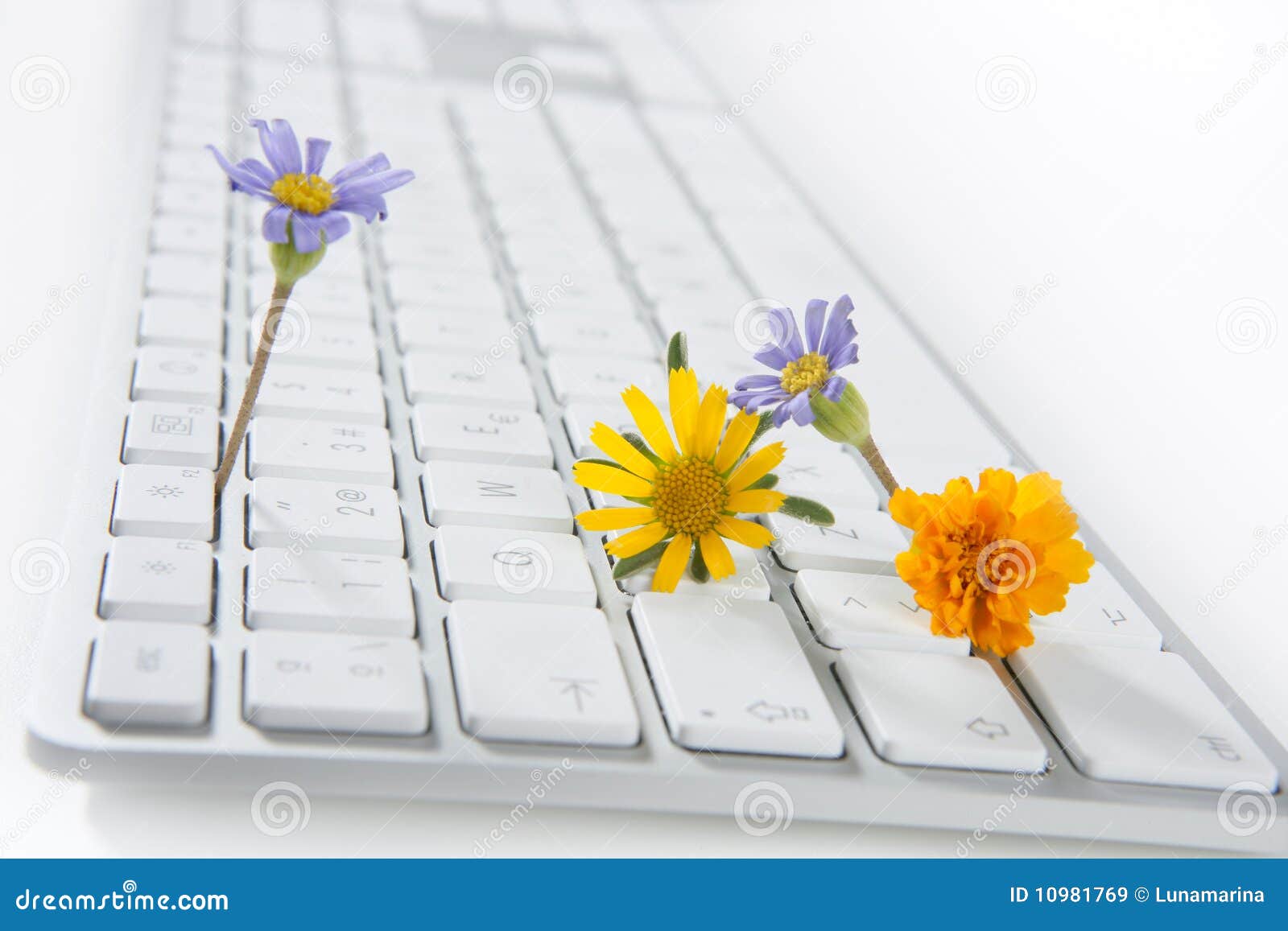 Concept of Flowers Growing from Computer Stock Image - Image of ecology ...