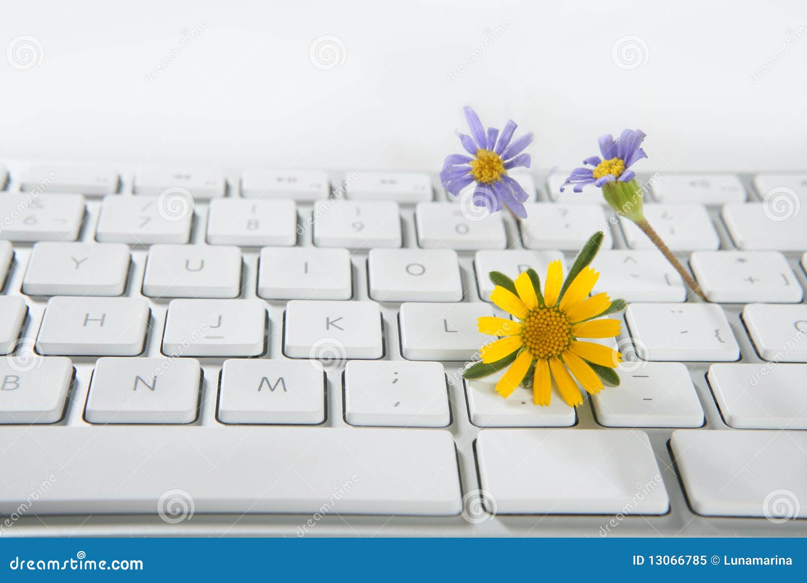 Concept of Flowers Growing from Computer Stock Image - Image of flora ...