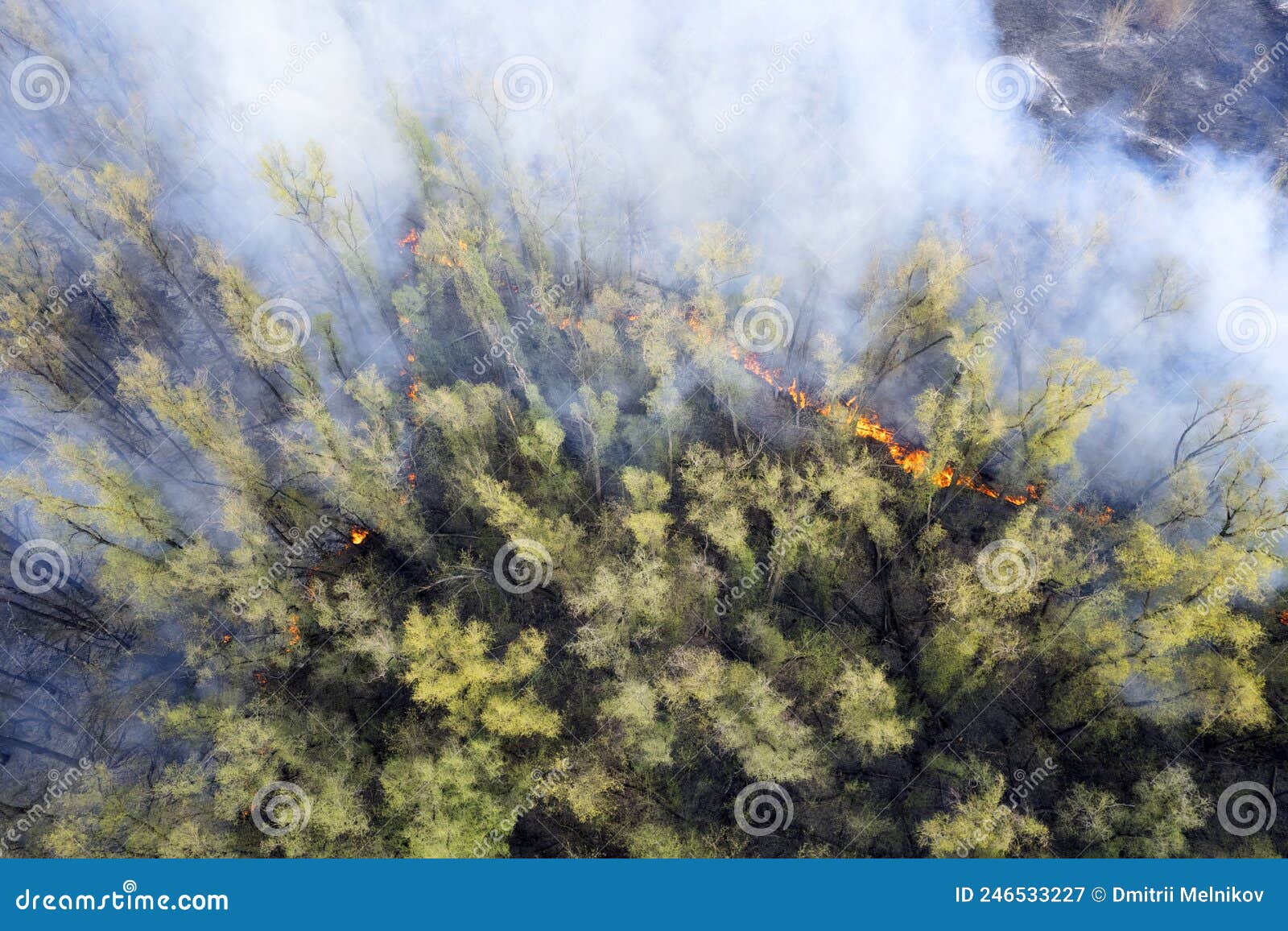 Concept Of Forest Fires. Burning Forest Top View Aerial View. White ...